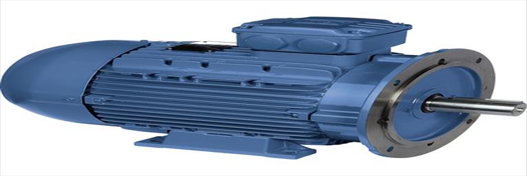 Multi-Voltage Three Phase Motors