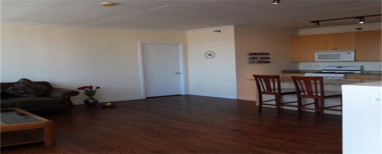 Spectacular 2 bed 2 bath South Loop loft ! - Chicago Homes