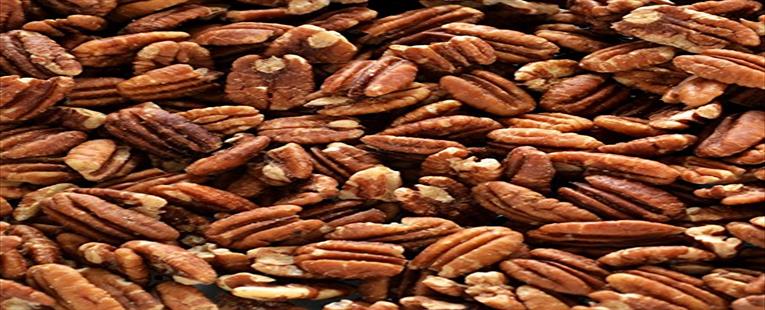 Native Pecan Halves, Family Recipe Crispy, Soaked and Dried with Sea ...